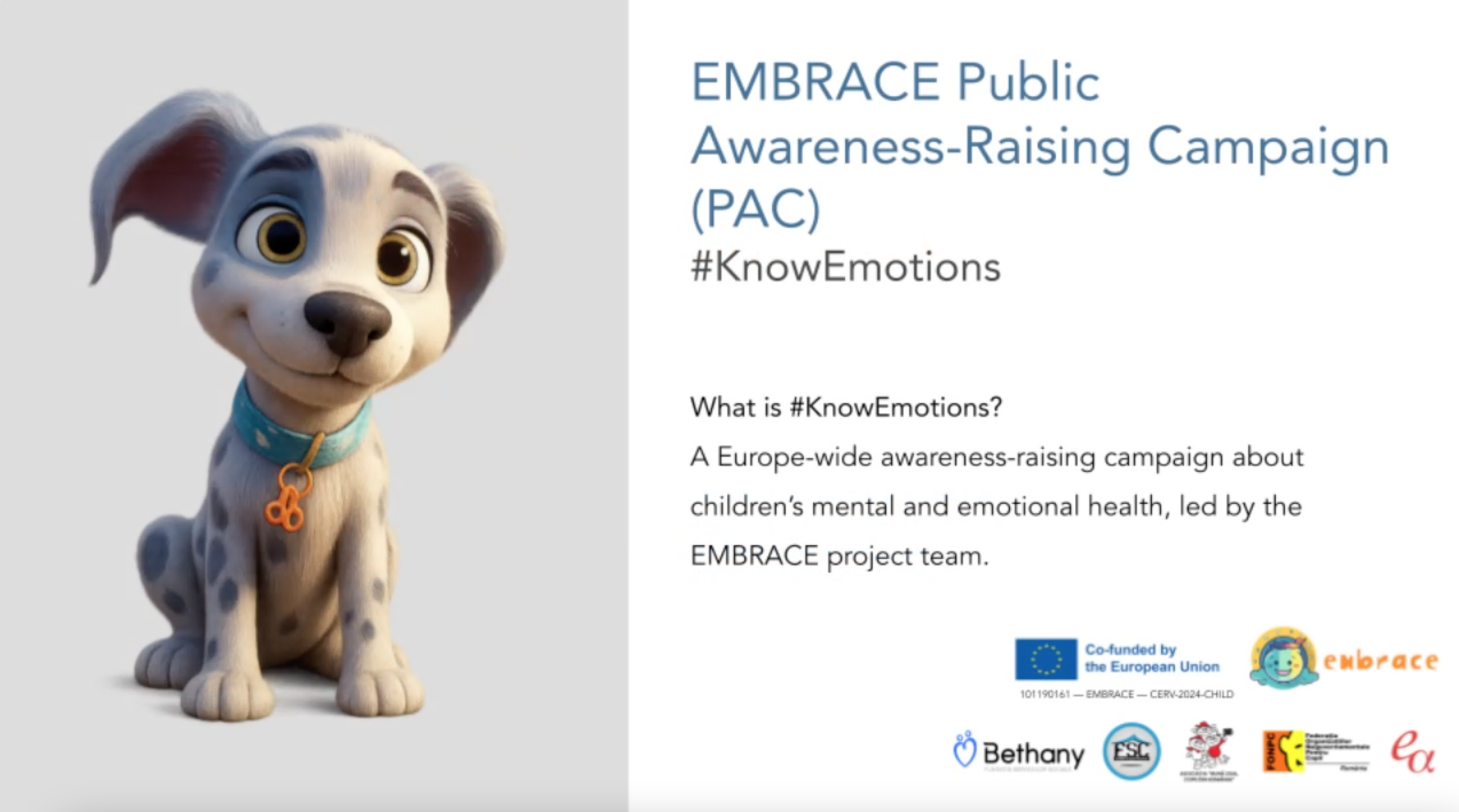 Announcing the EMBRACE PAC - #KnowEmotions #DescoperăEmoțiile ...